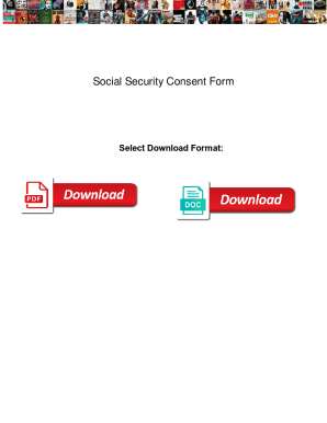 Fillable Online Social Security Consent Form. Social Security Consent ...