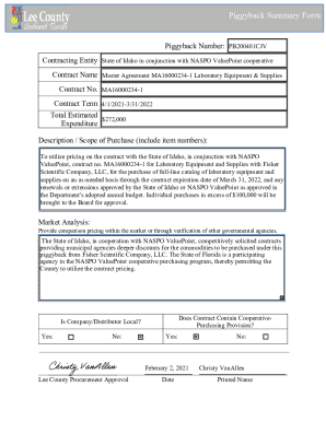 Fillable Online Piggyback Summary Form - Fillable.pdf Fax Email Print ...