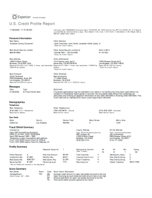 Fillable Online US Credit Profile Report - Experian Fax Email Print ...
