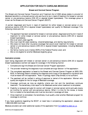 Fillable Online scdhhs scdhhsgov form Fax Email Print - pdfFiller