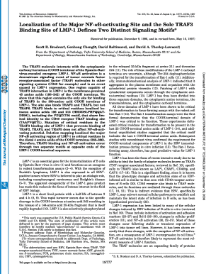 Naupa Ii Format - Fill Online, Printable, Fillable, Blank | PDFfiller