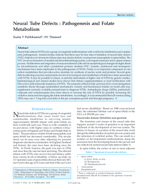 Uspto Small Entity Form - Fill Online, Printable, Fillable, Blank ...