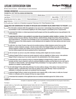 Wisconsin - Budget Mobile - Fill and Sign Printable Template Online