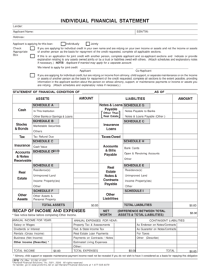 fillable generic personal financial statement Forms and Templates ...