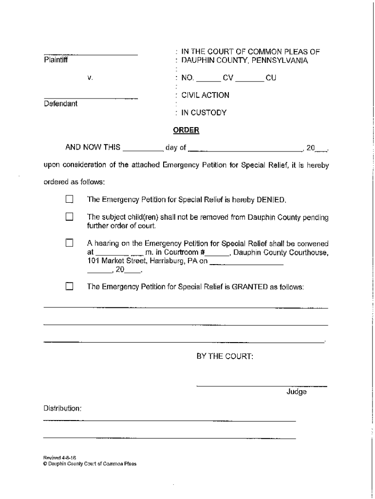 Dauphin Custody Form Fill Online Printable Fillable Blank PdfFiller