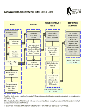 Fillable Online INJURY MANAGEMENT FLOWCHART FOR A WORK RELATED INJURY ...