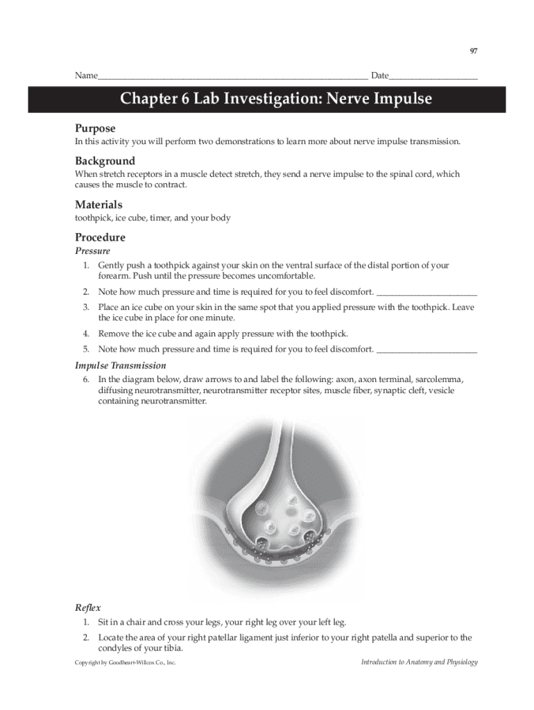 Fillable Online chapter 6 lab investigation nerve impulse Fax Email ...