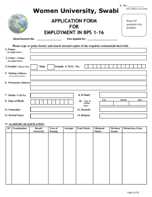Fillable Online Job Application Form for Non Teaching BPS 17 and Above ... Fax Email Print ...