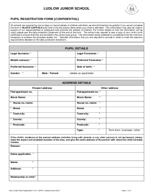 Fillable Online Pupil Registration Form - Ludlow Junior School Fax Email Print - pdfFiller