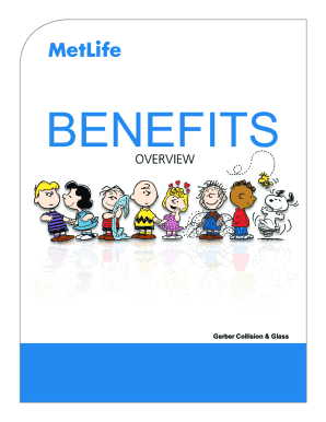Fillable Online Standard Collision Examples - Georgia State University ...