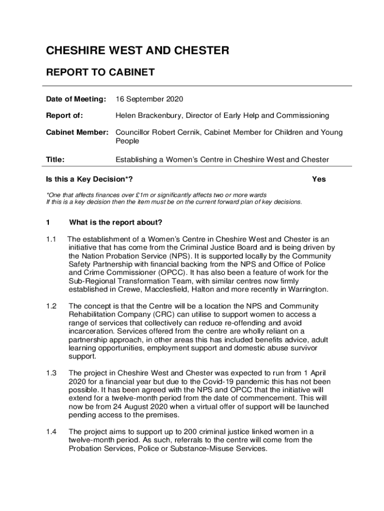 Fillable Online Report To Executive Template Fax Email Print - Pdffiller