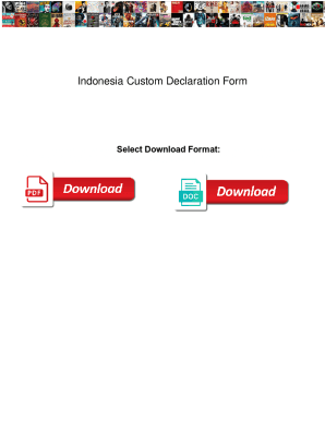 Fillable Online Indonesia Custom Declaration Form. Indonesia Custom ...