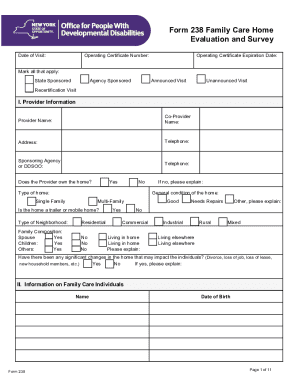 Fillable Online opwdd ny Form 238 Family Care Home Evaluation and ...