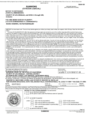 Fillable Online Summons (SUM-100) - ORIGINAL FORM (PRE-POPULATED FORM ...