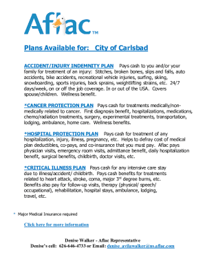 Fillable Online Aflac Summary and Interest Sheet Fax Email Print ...