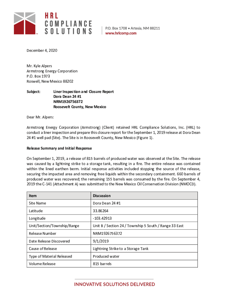 Fillable Online Liner Inspection and Closure Report Rev 1 Nov 2020 Fax ...