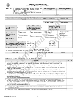 Fillable Online Second Draw PPP loanPPP Loan Forgiveness Application ...