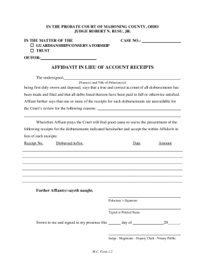Fillable Online AFFIDAVIT IN LIEU OF ACCOUNT RECEIPTS Fax Email Print ...