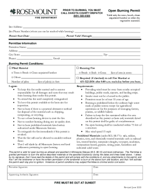 Fillable Online Fillable Online ci rosemount mn Open Burning Permit ...
