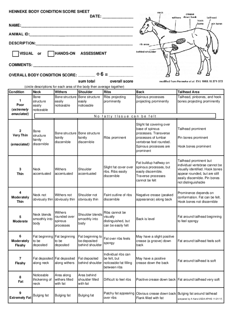 Fillable Online www.chegg.comflashcardshenneke-body-conditionHenneke ...