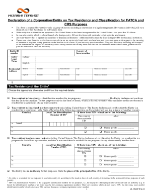 Fillable Online Summary of FATCA Reporting for U.S. Taxpayers - IRS tax ...