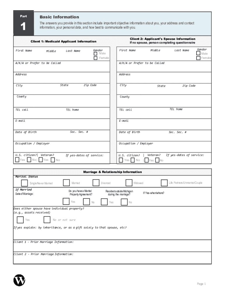 Fillable Online What is Medicaid Planning?What is Medicaid Planning?What is Medicaid Planning ...