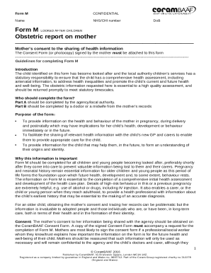 Child Healthcare Consent - Template - Word and PDFHealth Home Serving ...