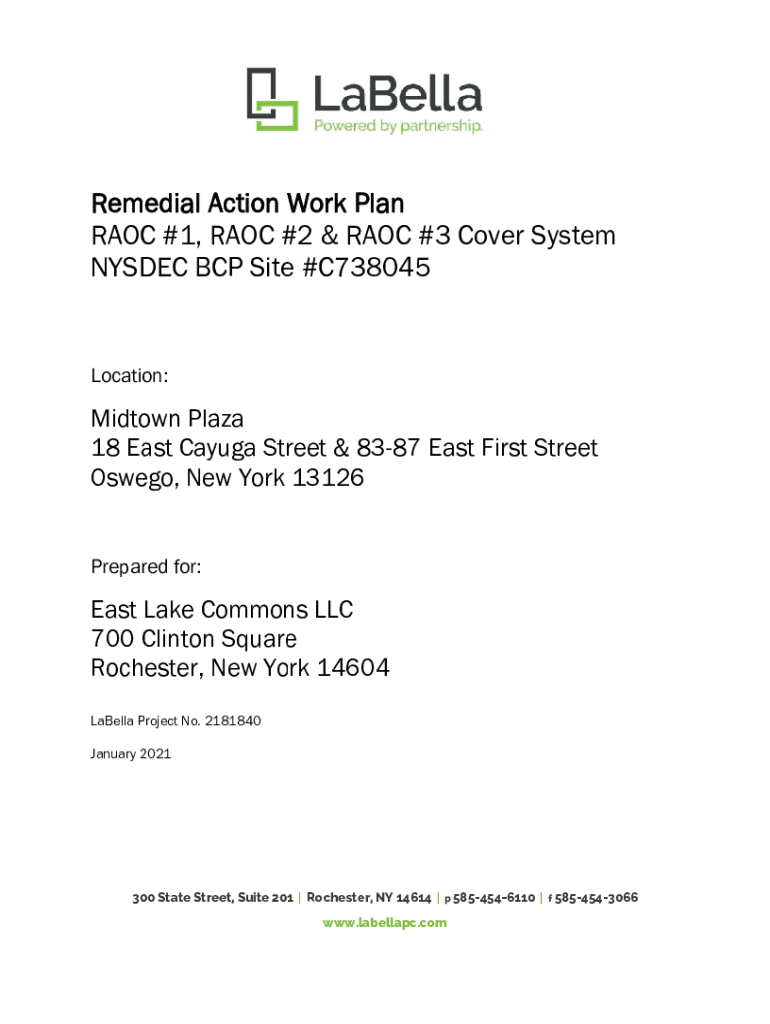 Fillable Online Rem RAOC NYSD edial A C #1, R DEC BC Action W RAOC # CP ...