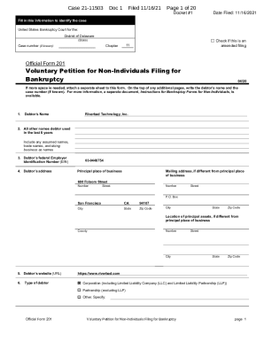 Fillable Online cases.stretto.com public x164Bankruptcy Official Form ...