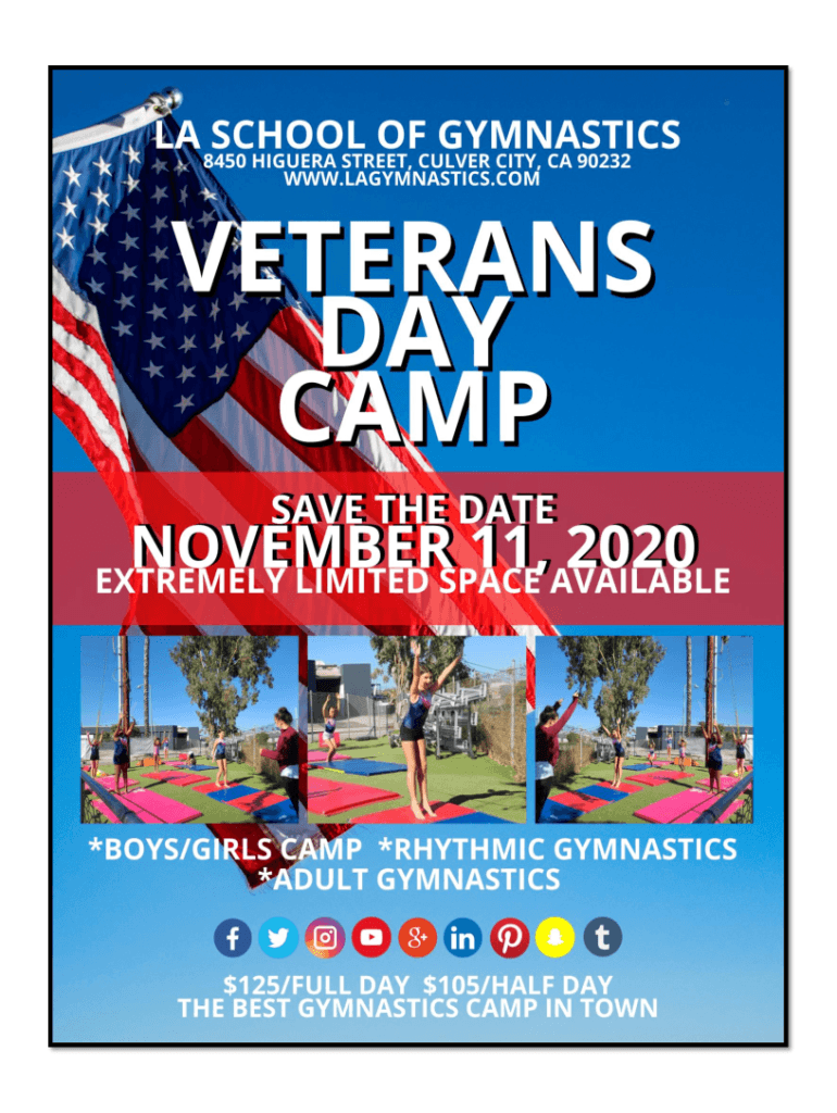 Fillable Online www.pdffiller.com512080631--VETERANS-DAY-CAMPFillable ...