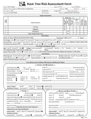 Fillable Online VIDEO: Tune into Casper City Council's Tuesday work ...