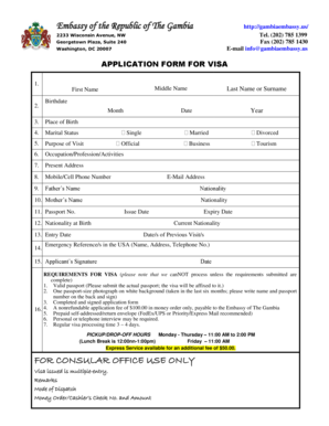 Fillable Online Application Form - Passport Visas Express.com Fax Email ...