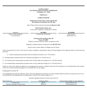 BM Technologies, Inc. (. EDGAR Online Pro Doc Template | pdfFiller