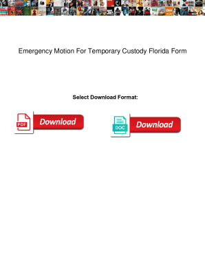 Fillable Online Emergency Motion For Temporary Custody Florida Form. Emergency Motion For ...
