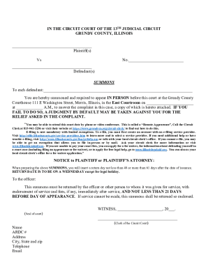 Fillable Online Fillable Online IN THE CIRCUIT COURT OF THE 13TH ...