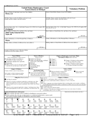 Fillable Online Court B1 Official Form 1 2011-2022 - Complete Legal ...