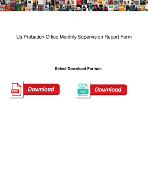 Fillable Online Us Probation Office Monthly Supervision Report Form. Us ...