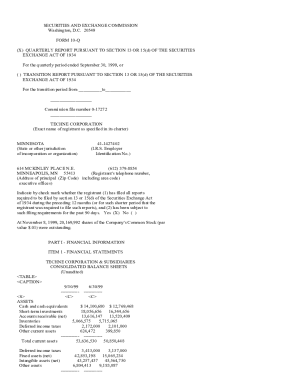 Fillable Online SEC Form 10-Q Definition - InvestopediaSEC Form 10-Q ...