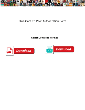 Fillable Online Blue Care Tn Prior Authorization Form. Blue Care Tn ...