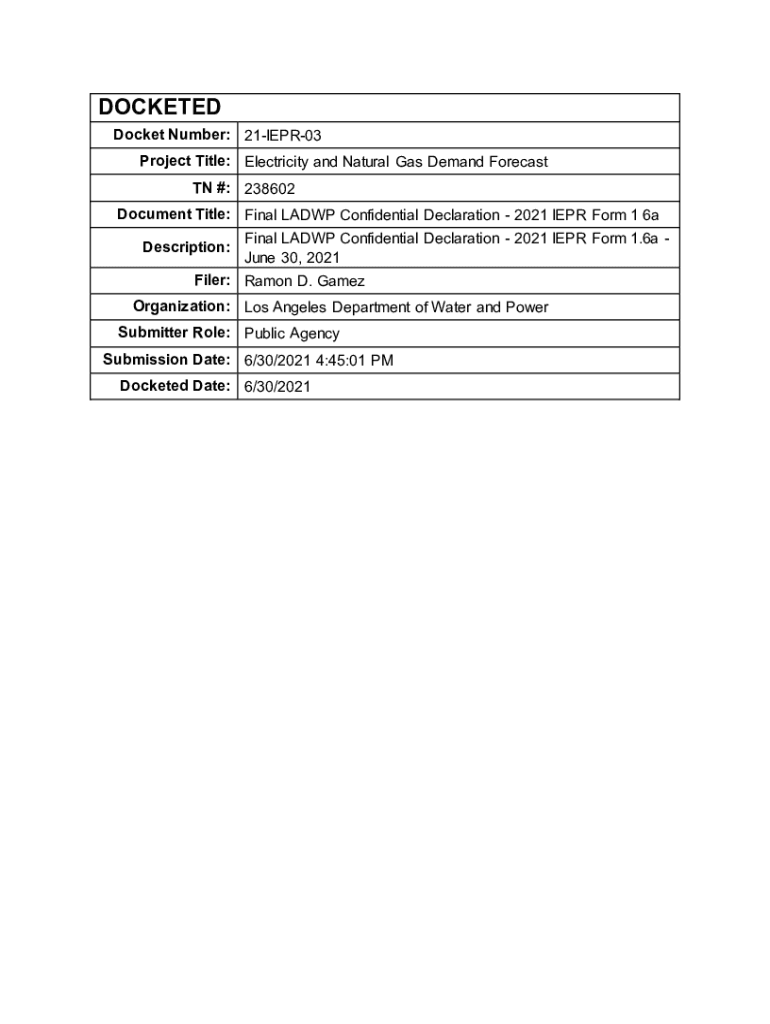Fillable Online Final LADWP Confidential Declaration - 2021 IEPR Form 1 ...