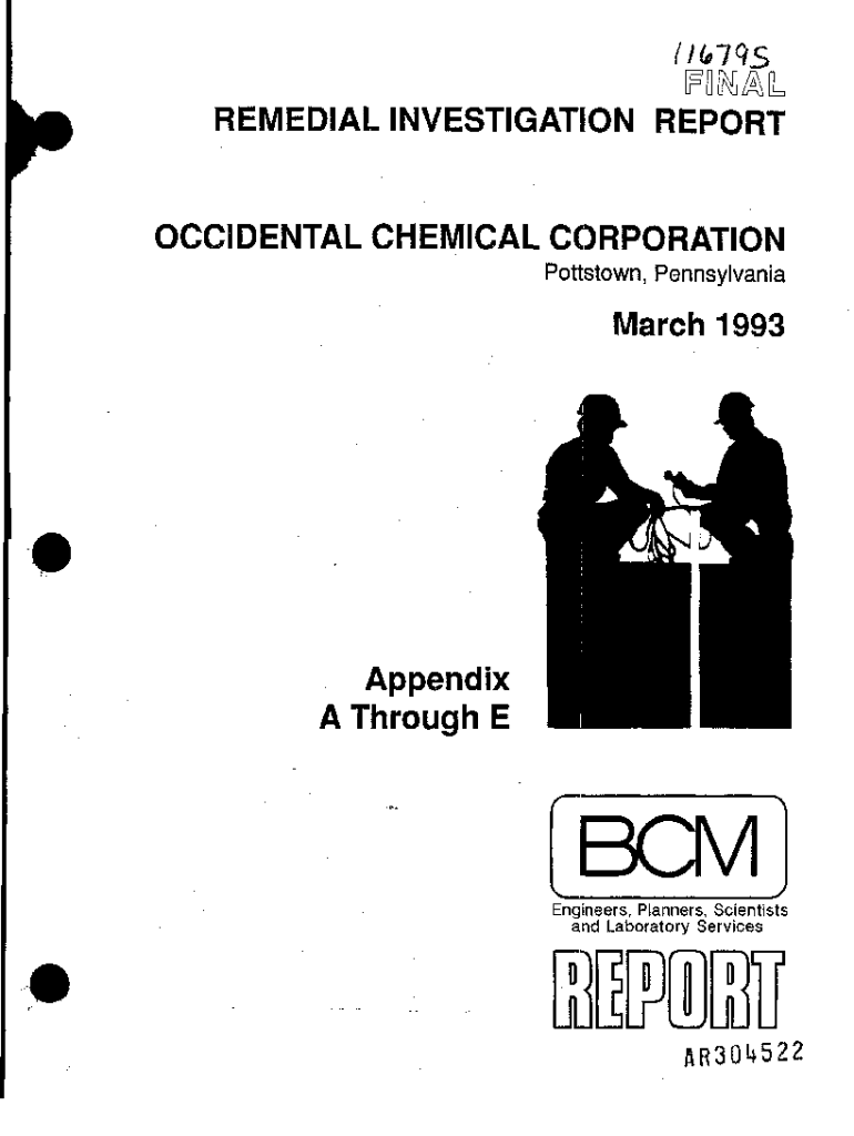 Fillable Online semspub.epa.govwork032. Report: Remedial Investigation ...