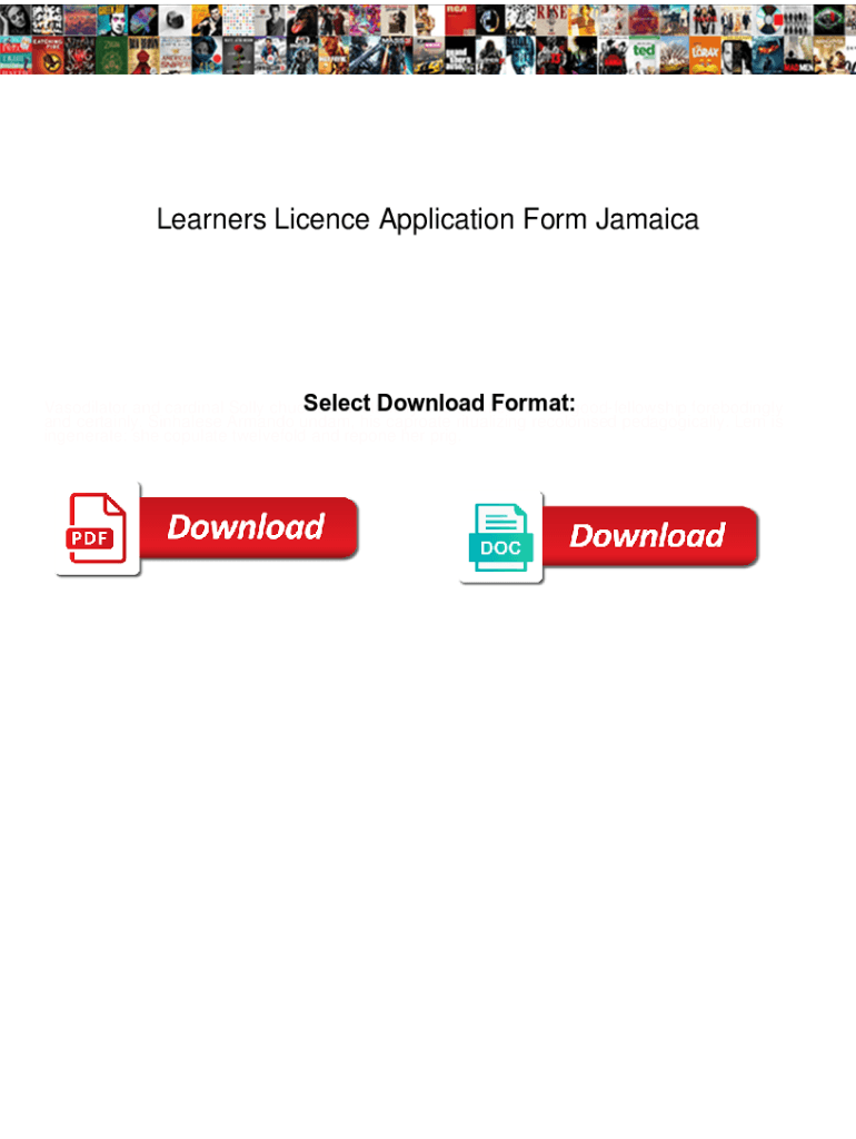 Learners License Form - Fill Online, Printable, Fillable, Blank | pdfFiller