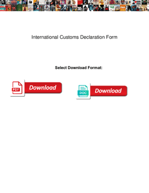 Fillable Online International Customs Declaration Form. International ...