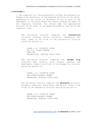 Fillable Online Instructions for Completing the Complaint Form (Pro Se ...
