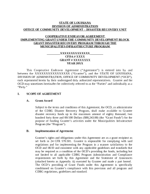 Community Development Block Grant Disaster Recovery Funds Doc Template ...