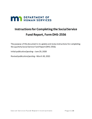 Fillable Online Instructions for Completing the Social Service Fund ...