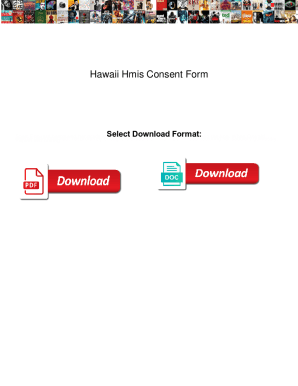 Fillable Online Hawaii Hmis Consent Form. Hawaii Hmis Consent Form ...