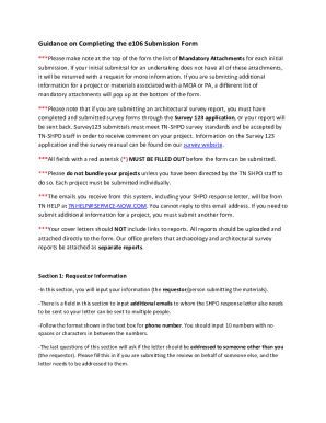 Fillable Online Guidance on Completing the e106 Submission Form TN.gov ...