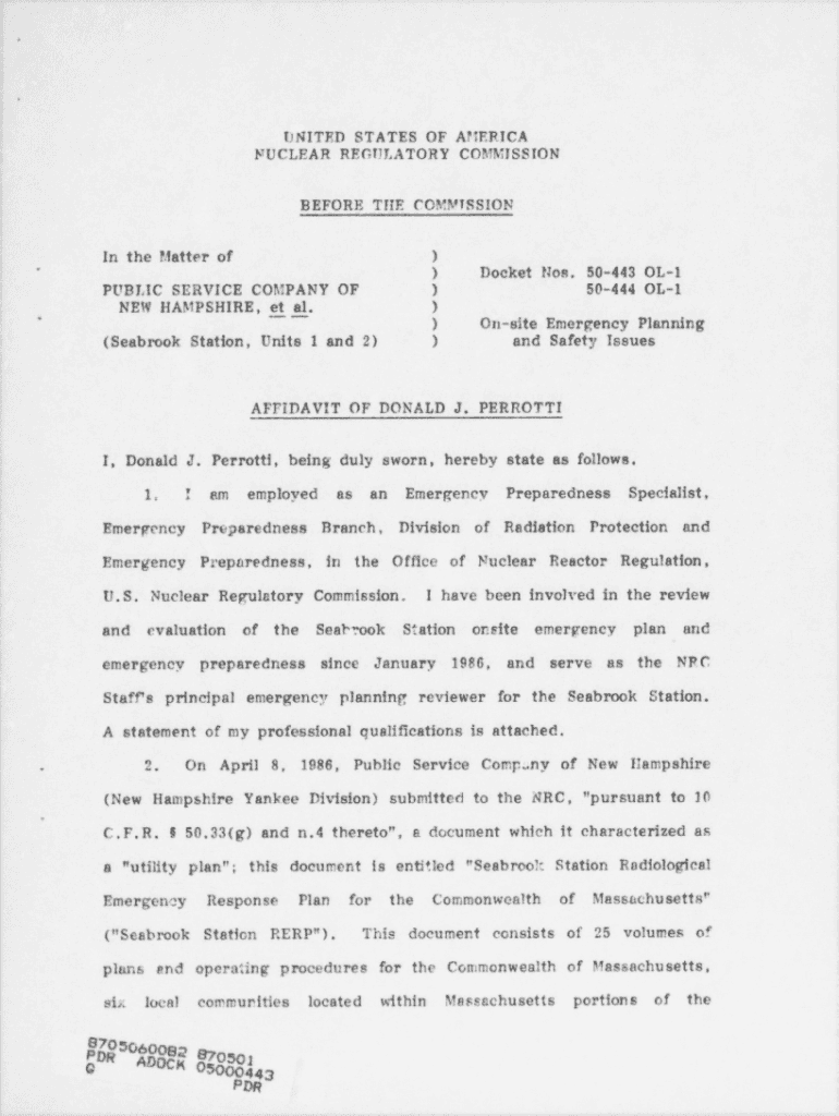 Fillable Online Affidavit of DJ Perrotti re facility radiological ...