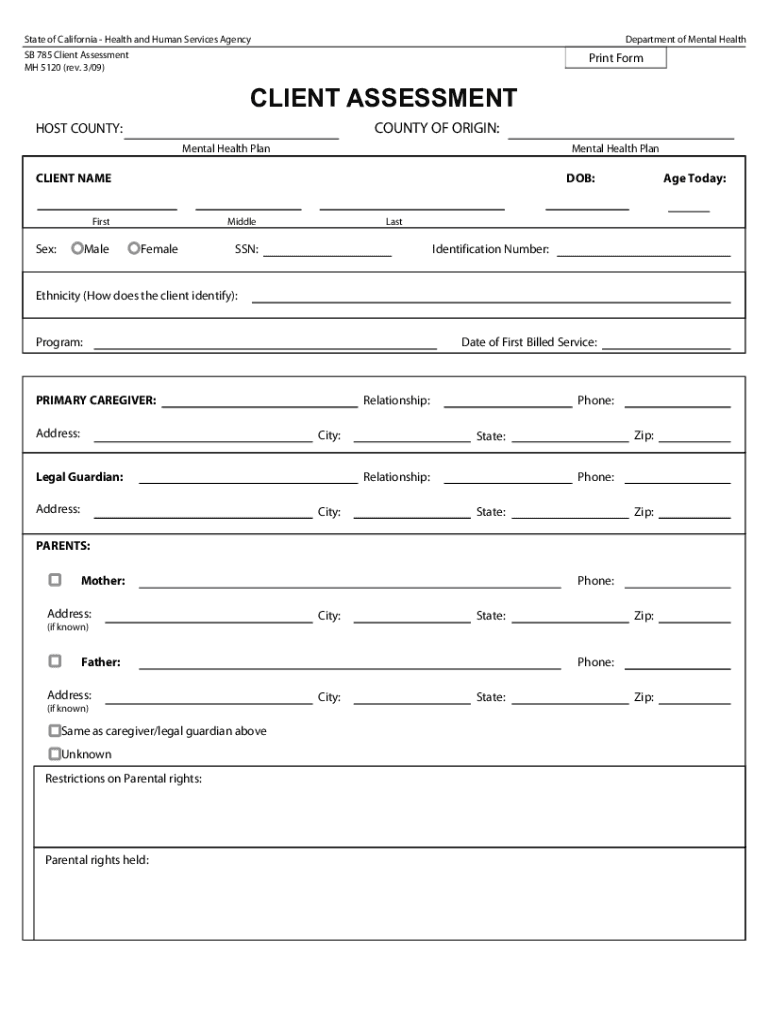 Fillable Online file lacounty Client Assessment. This form Fax Email ...